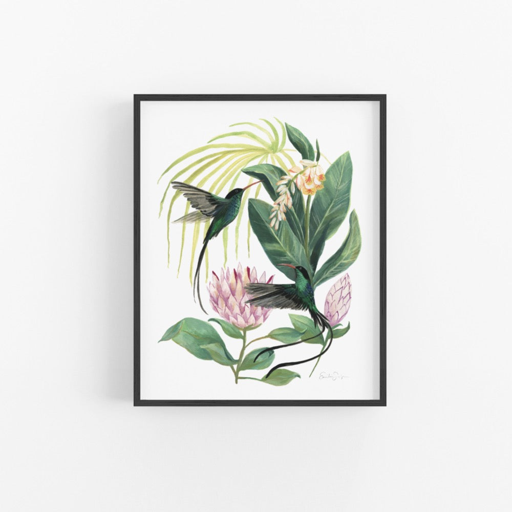 Red-billed Streamertail Hummingbird Art Print – Emilie Simpson Shop